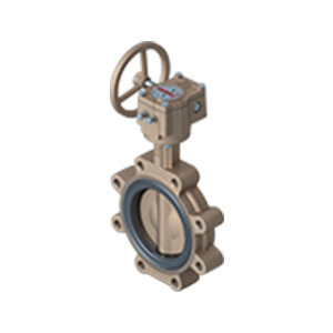 31 Series Resilient Seated Butterfly Valve | Bray | Industrial Valve